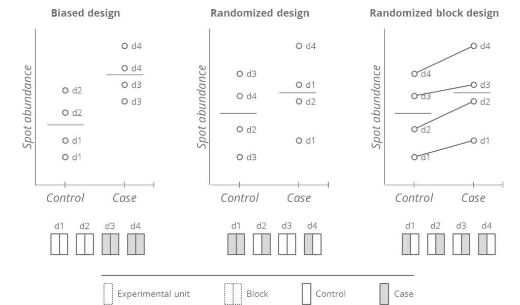Experimental design of 2D gel studies
